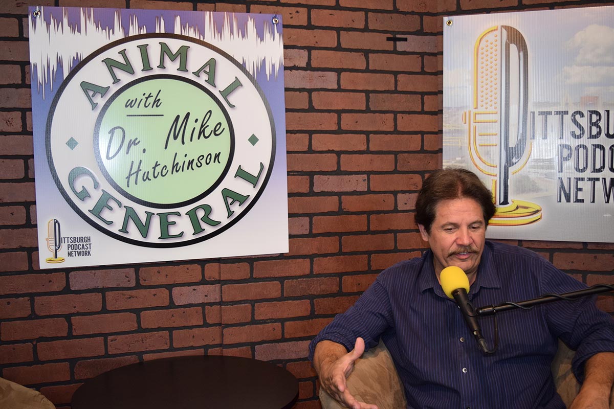 Animal General Podcast | A Different Spin to Pet Nutrition | Episode 2