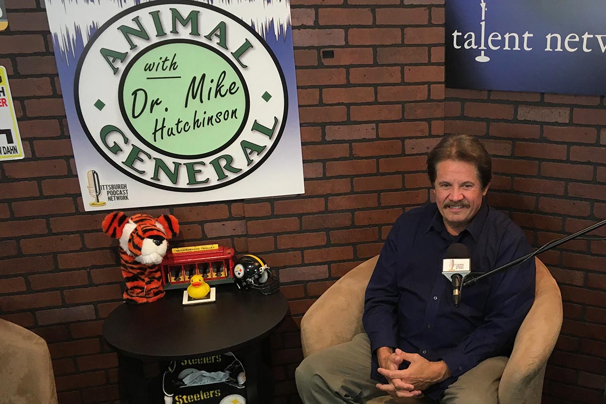 Animal General Podcast | Listener Questions, 3rd Airing | Episode 37