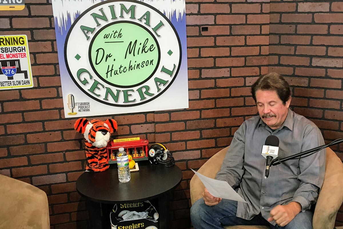 Animal General Podcast | Winter With Pets | Episode 39