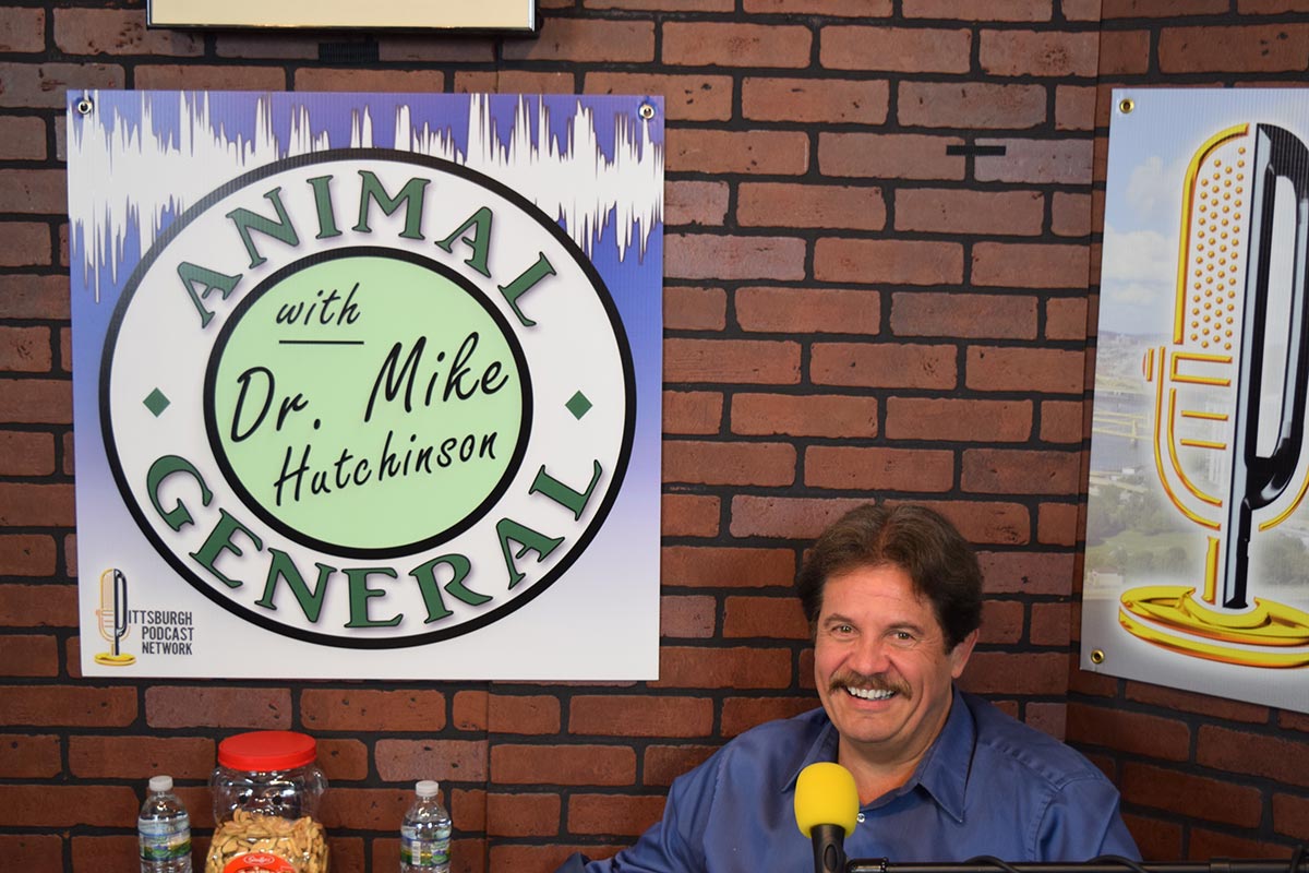 Animal General Podcast | FAQs for Paws, Claws and the Parents of them ...