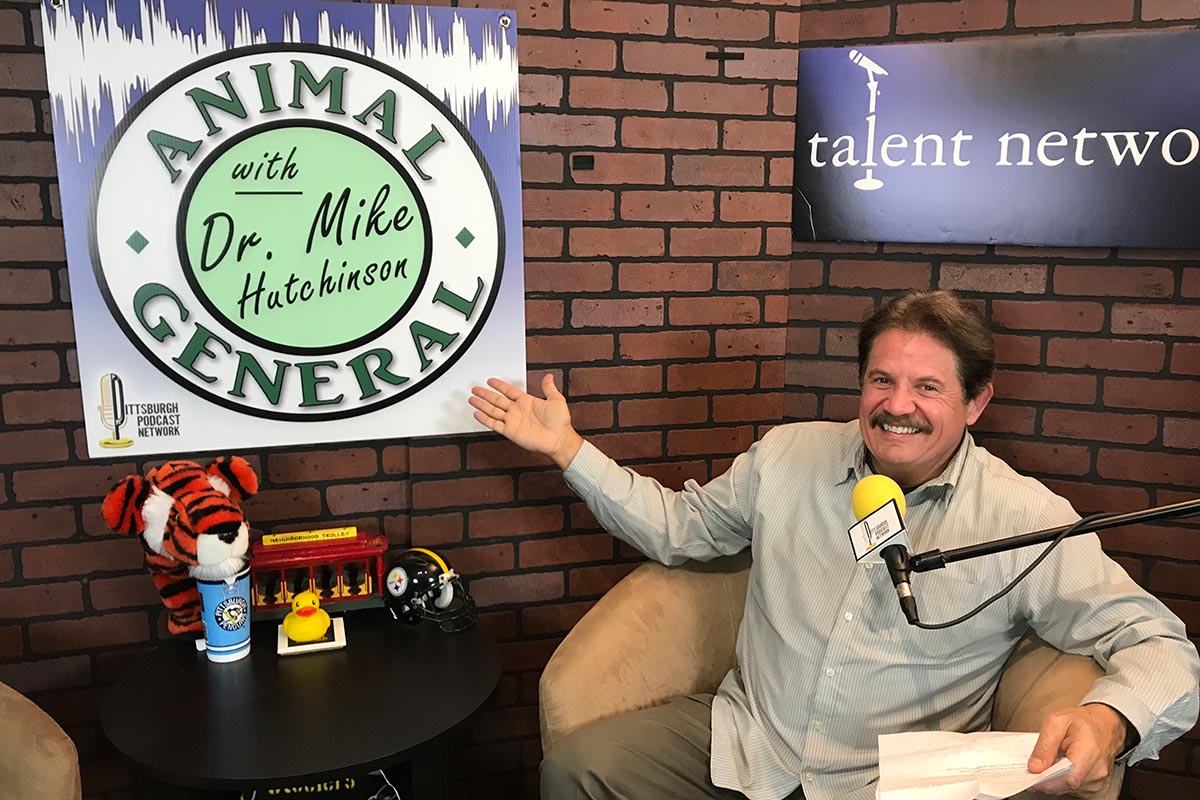 Animal General Podcast | Grain-Free Dog Food - Additional Thoughts ...