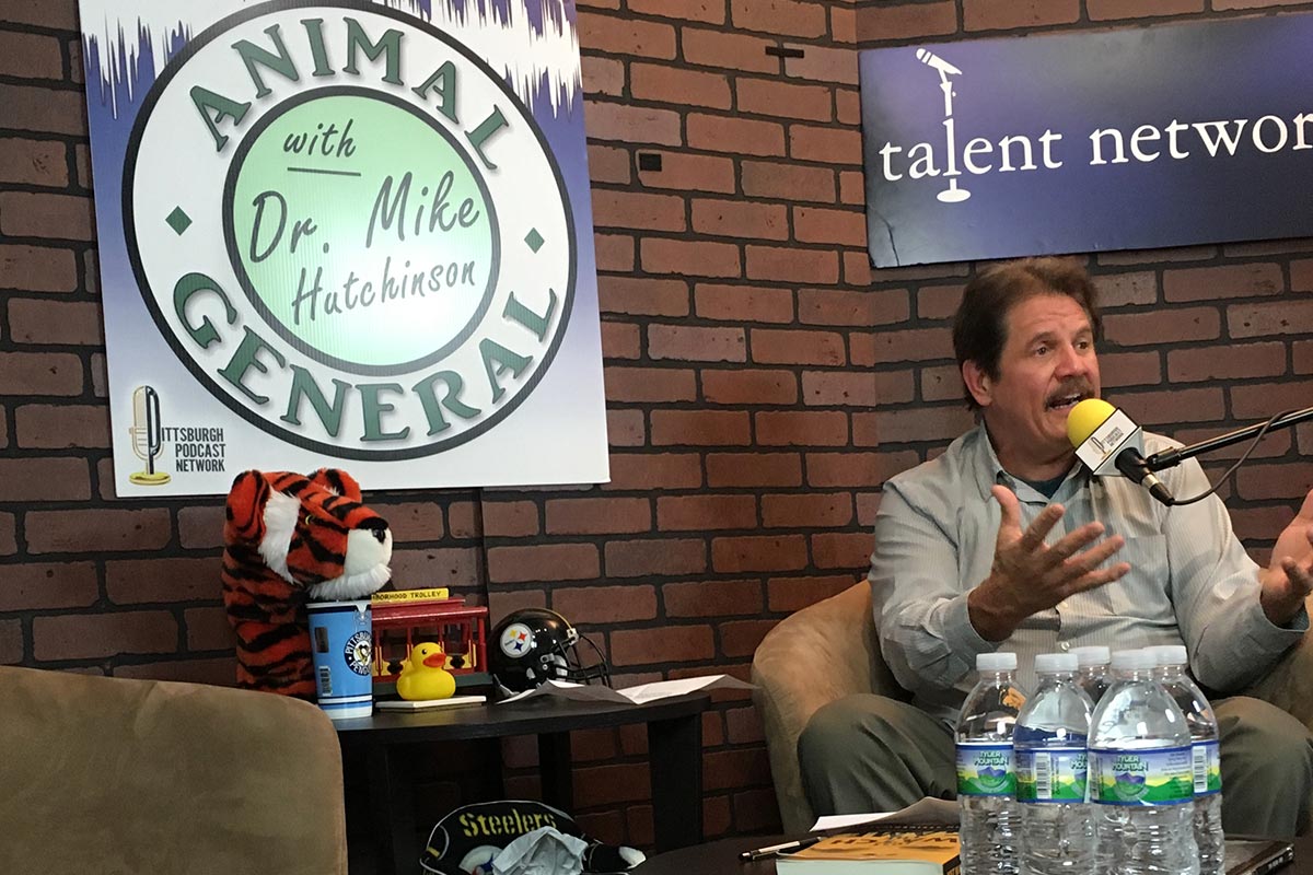 Animal General Podcast | Listener Questions, 4th Airing | Episode 41