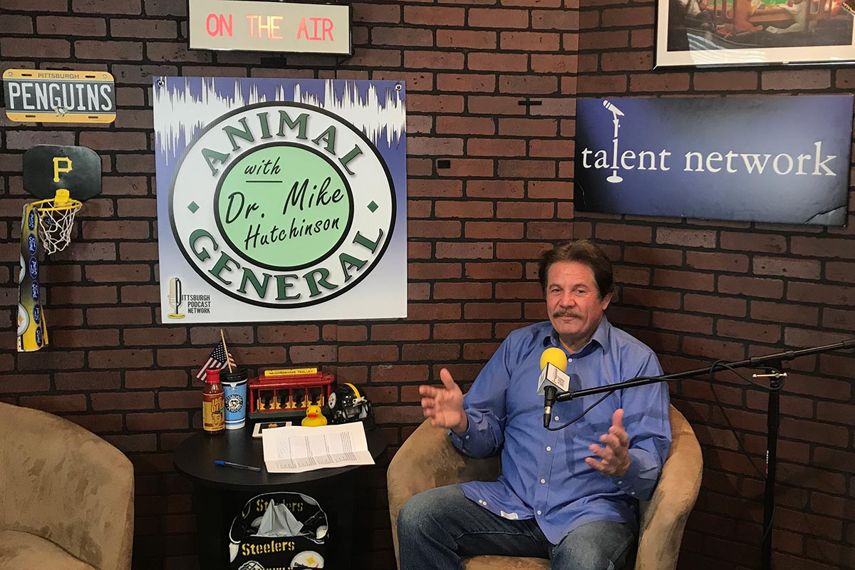 Animal General Podcast | Pet Food Recalls | Episode 43