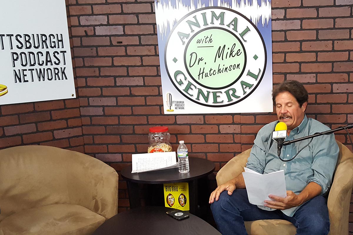 Animal General Podcast | Answering Listener Questions About Dogs ...